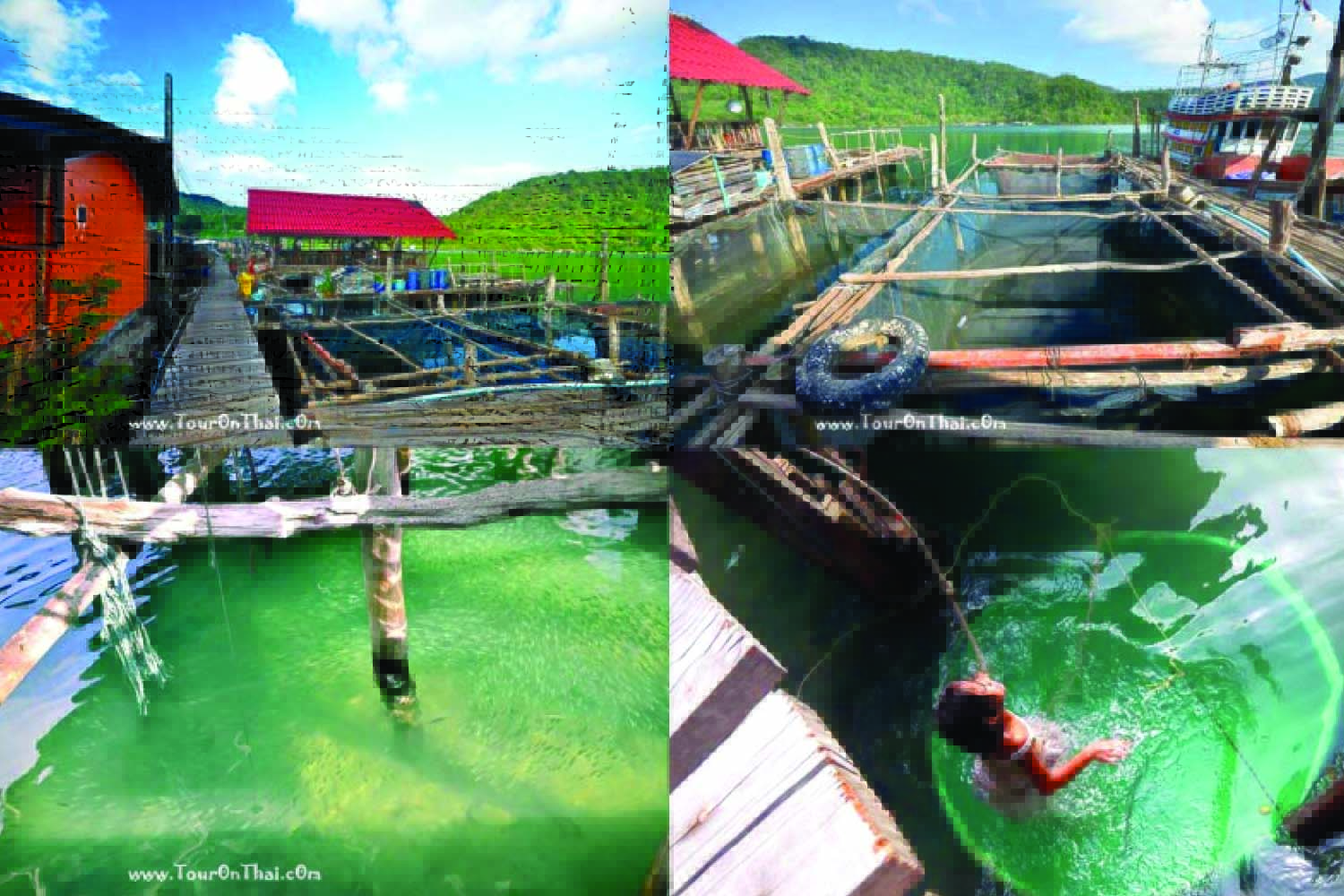 Luxury Escape Koh Kood - Ayathai